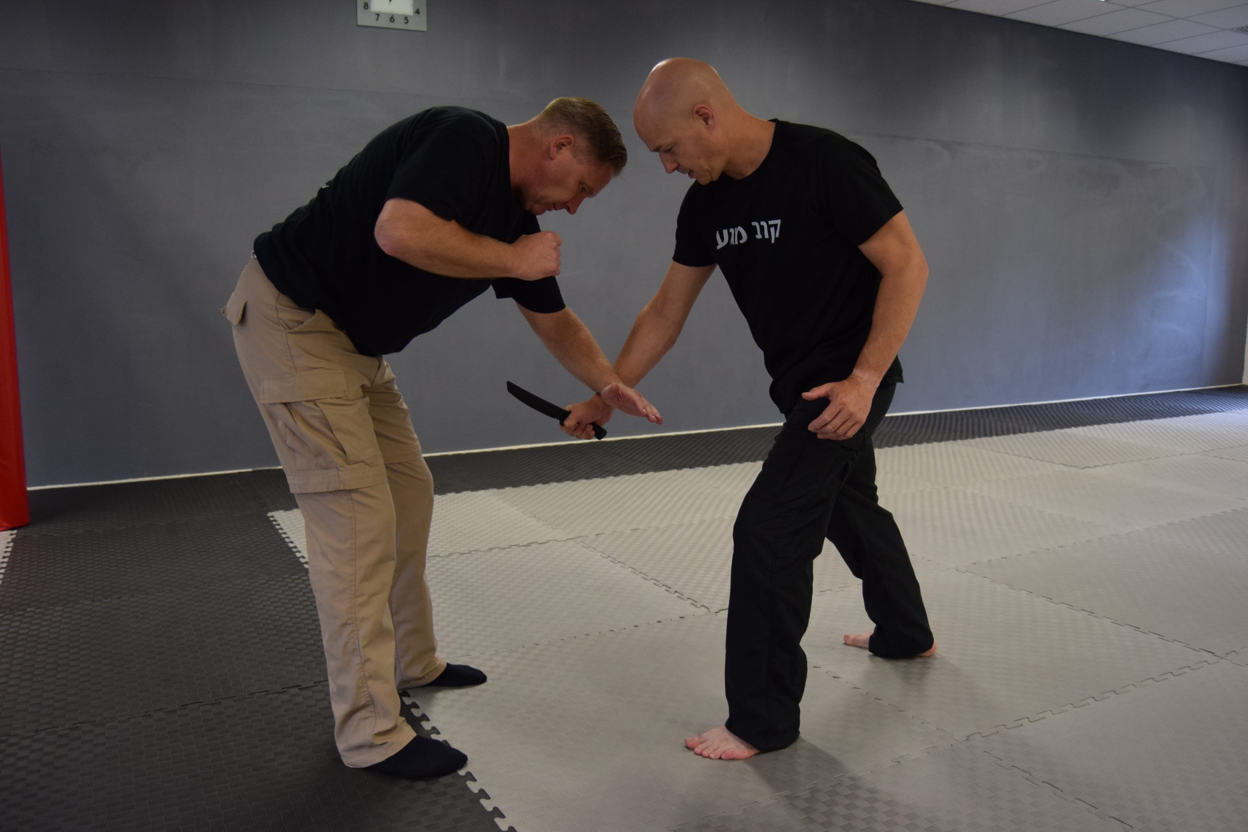 over Harold van der Rijst - Self Defense Harold v/d Rijst